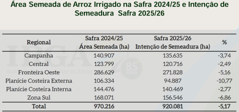 Irga confirma recorde produtivo em 2024/25 e projeta queda de 5% em ...