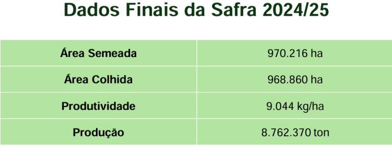 Irga confirma recorde produtivo em 2024/25 e projeta queda de 5% em ...