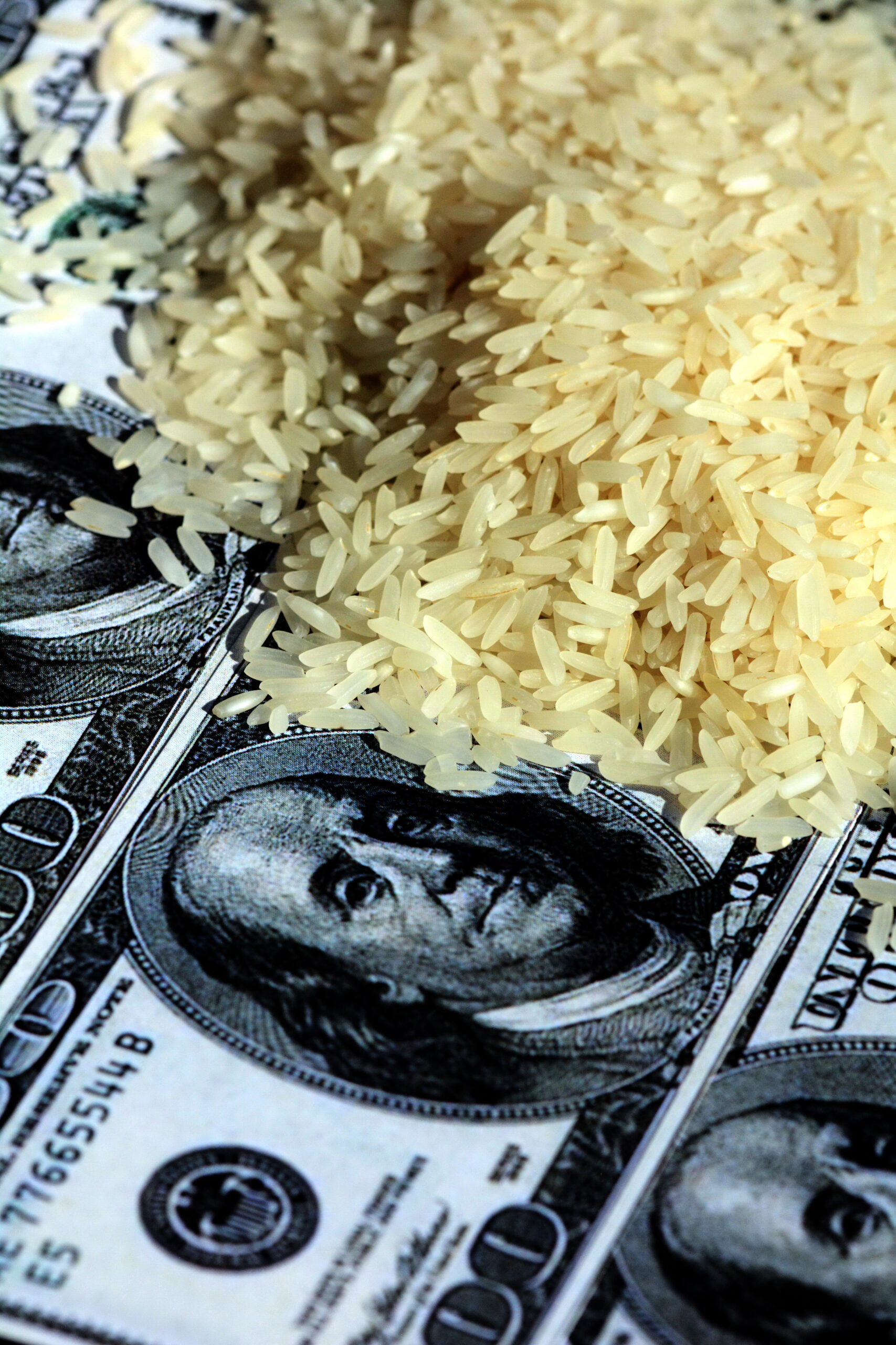 Economia do arroz - Planeta Arroz